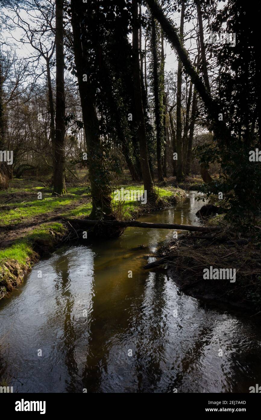 Flordon Common River Tas Stock Photo - Alamy