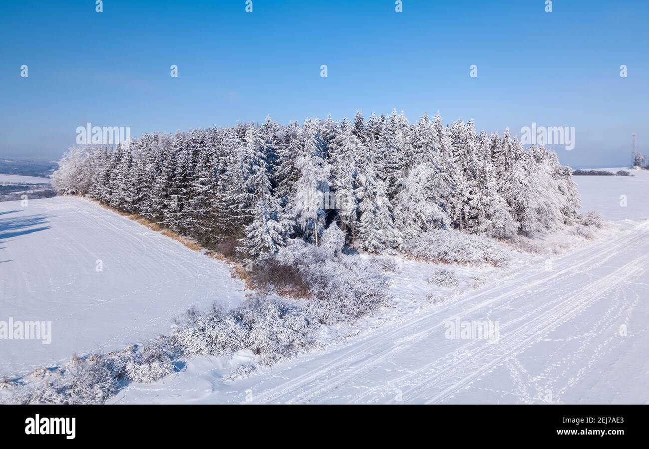 A serene winter landscape with trees covered in snow after a major ...