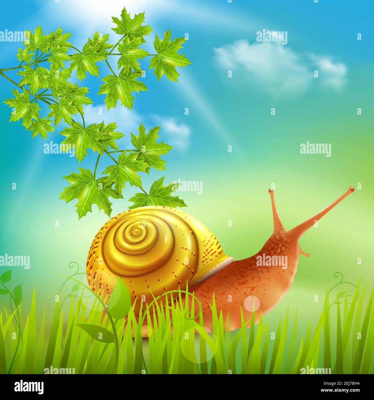 Snail in grass field sun bathing realistic composition with maple ...