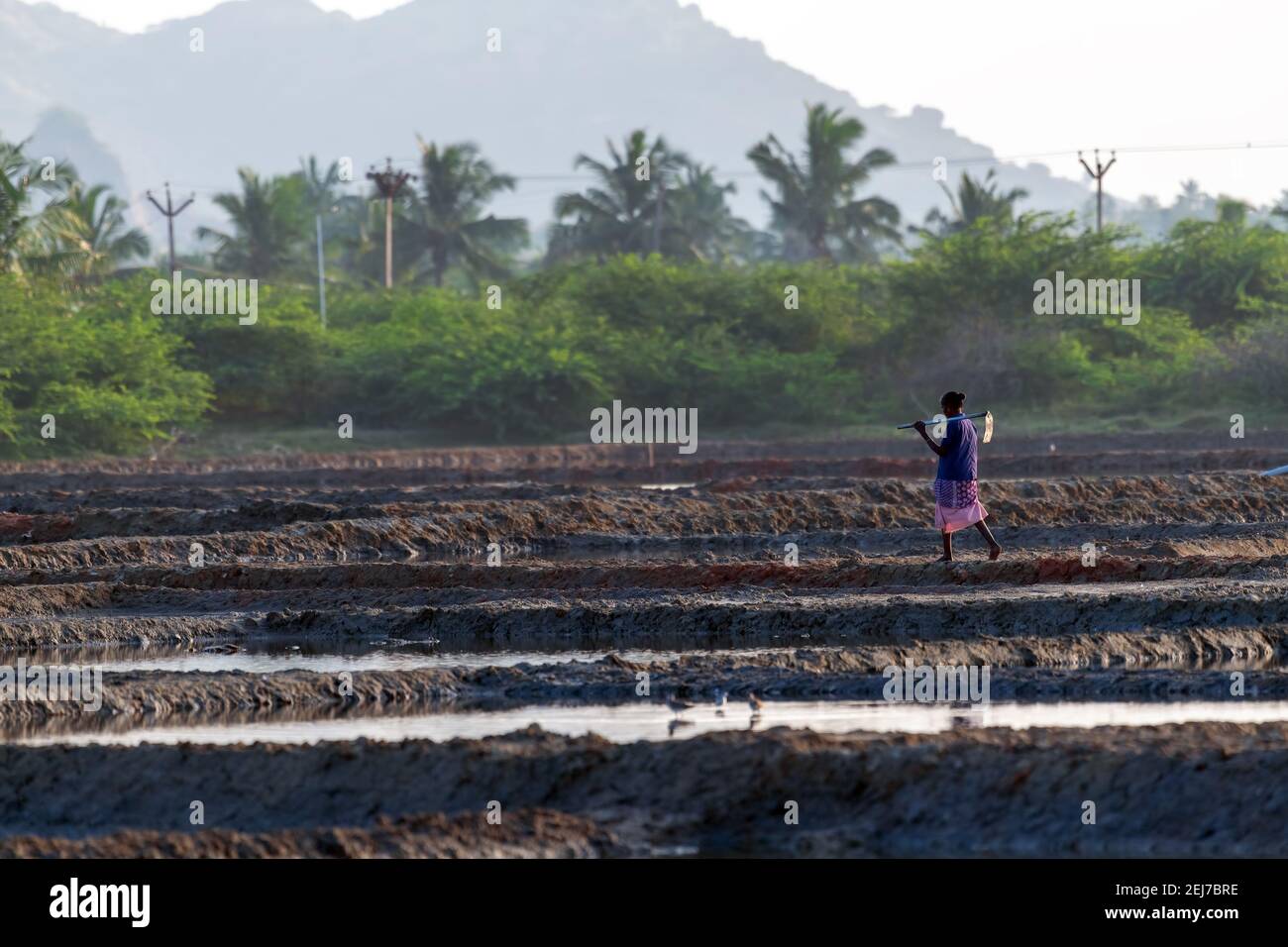 Lady farmer hi-res stock photography and images - Alamy