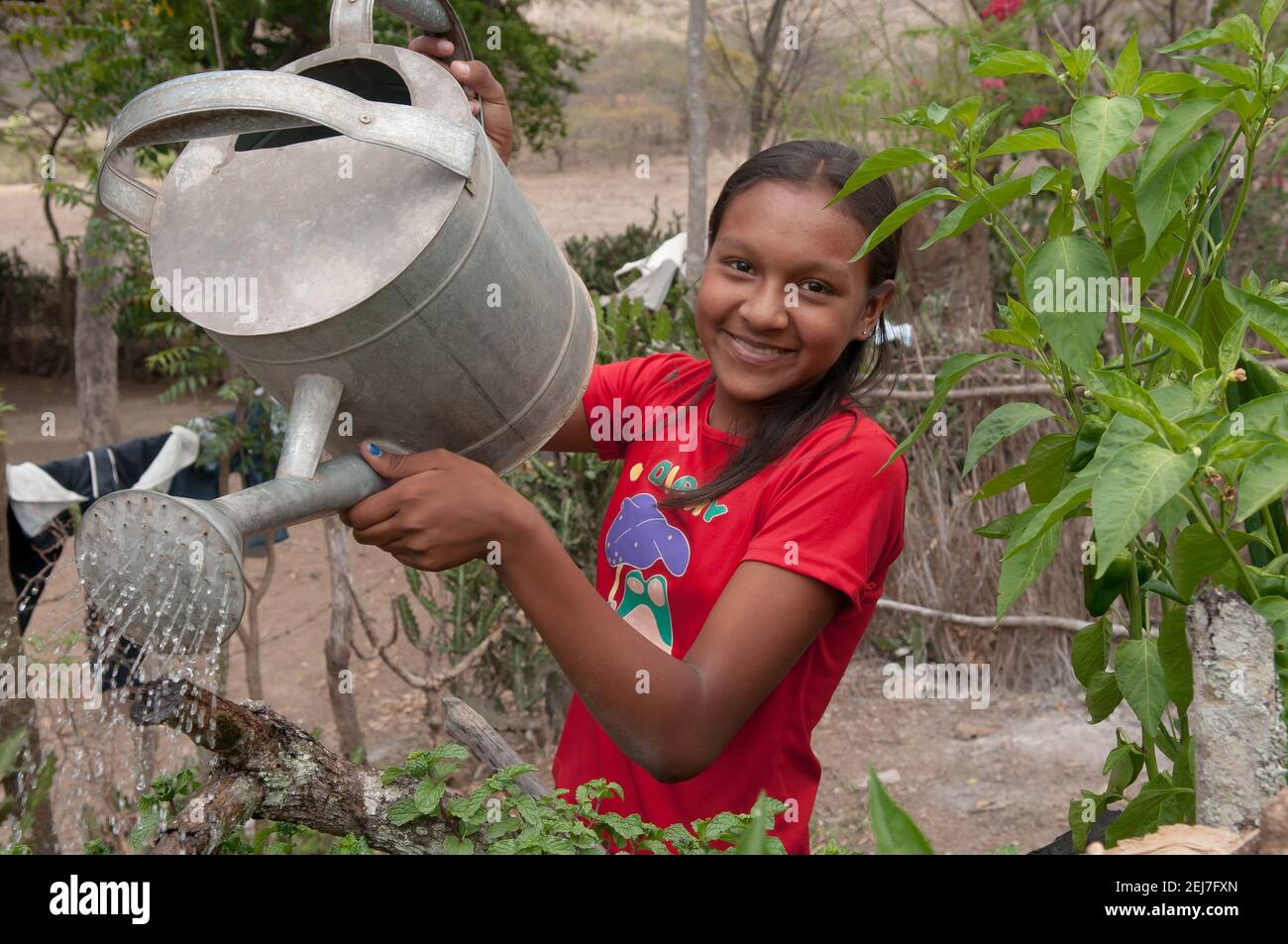 Rivas, Nicaragua. 07-15-2016. Girl watering the plants in an rural ...