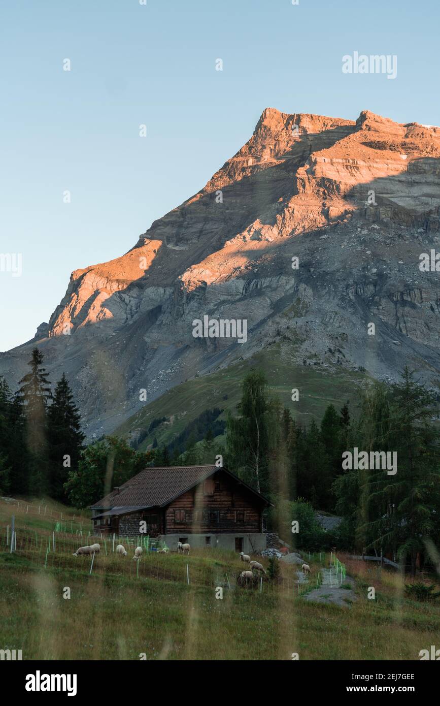 Vertical shot of Swiss Alps Stock Photo - Alamy
