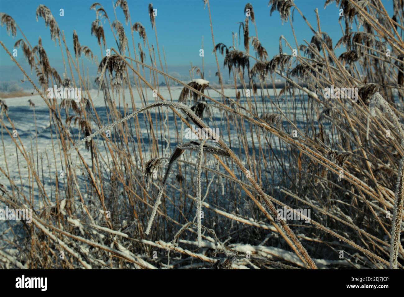 Winter season cold hi-res stock photography and images - Alamy