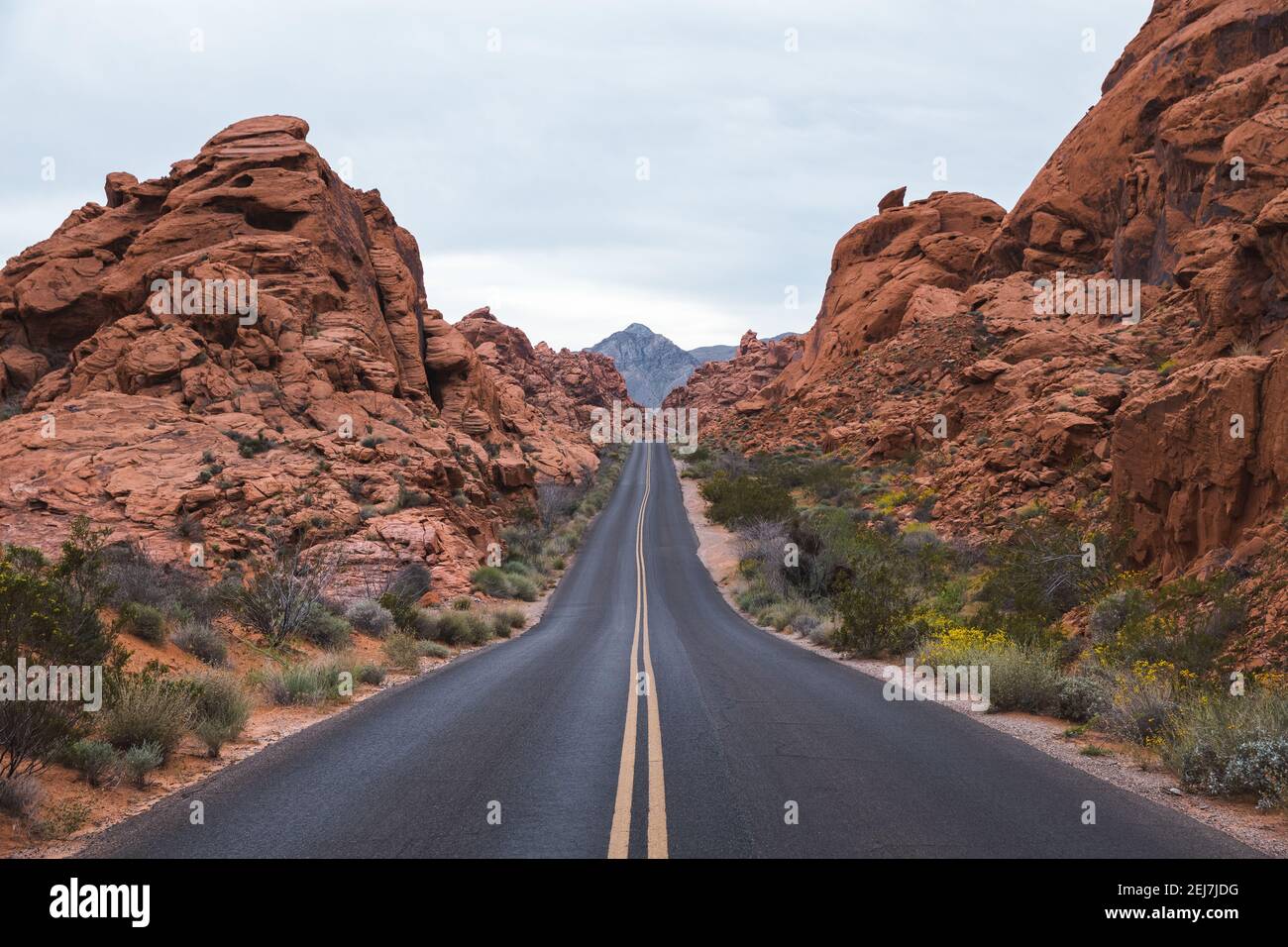 Asphalt road through the sandstone formations in the Valley of Fire ...