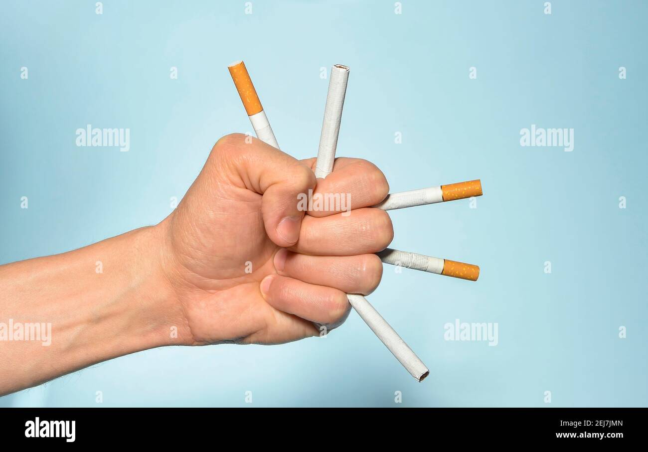Hand holding many cigarettes and blue background. Stop smoking, World ...