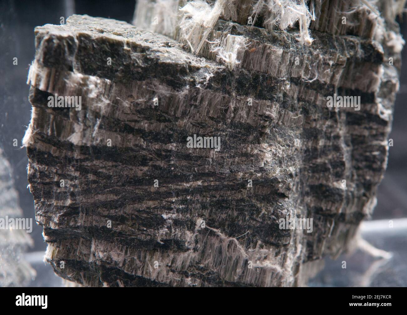 Closeup of naturally-occurring fibrous silicate mineral asbestos Stock ...