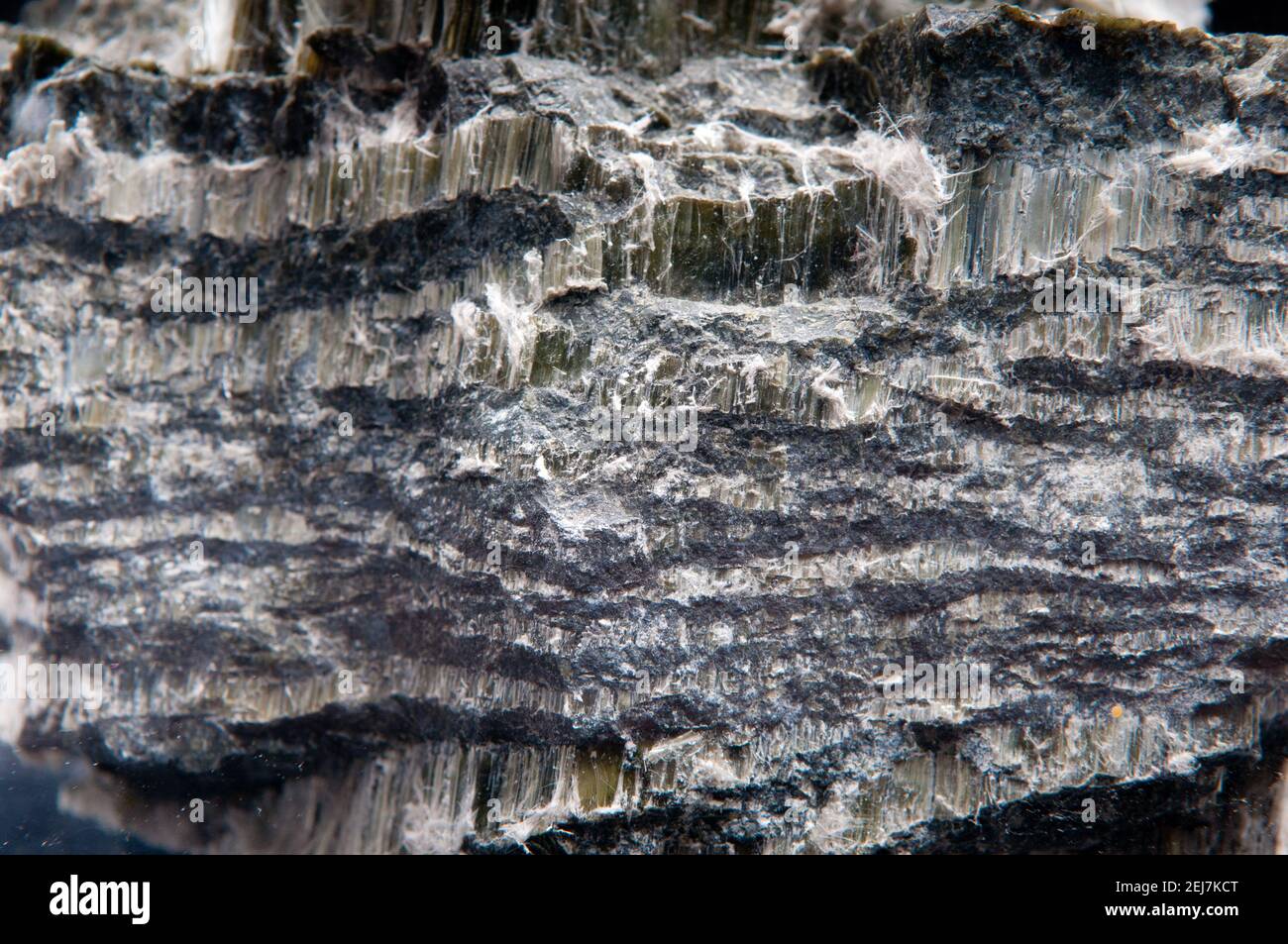 Closeup of naturally-occurring fibrous silicate mineral asbestos Stock ...