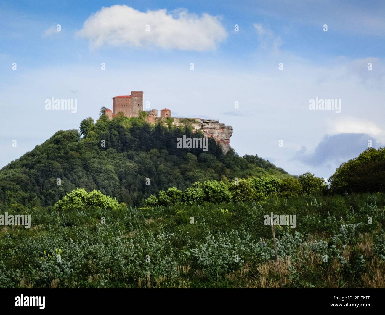 Trifelis hi-res stock photography and images - Alamy