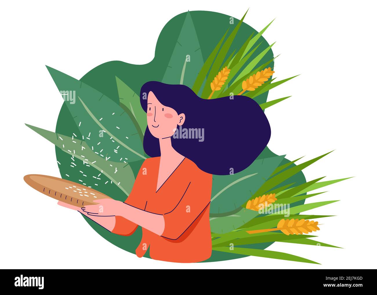 Old woman in rice field Stock Vector Images - Alamy