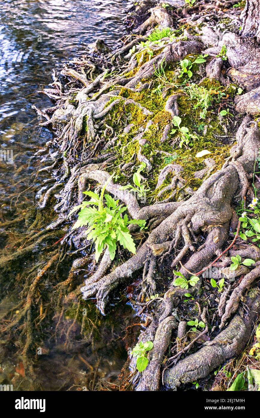Curved stone bank hi-res stock photography and images - Alamy
