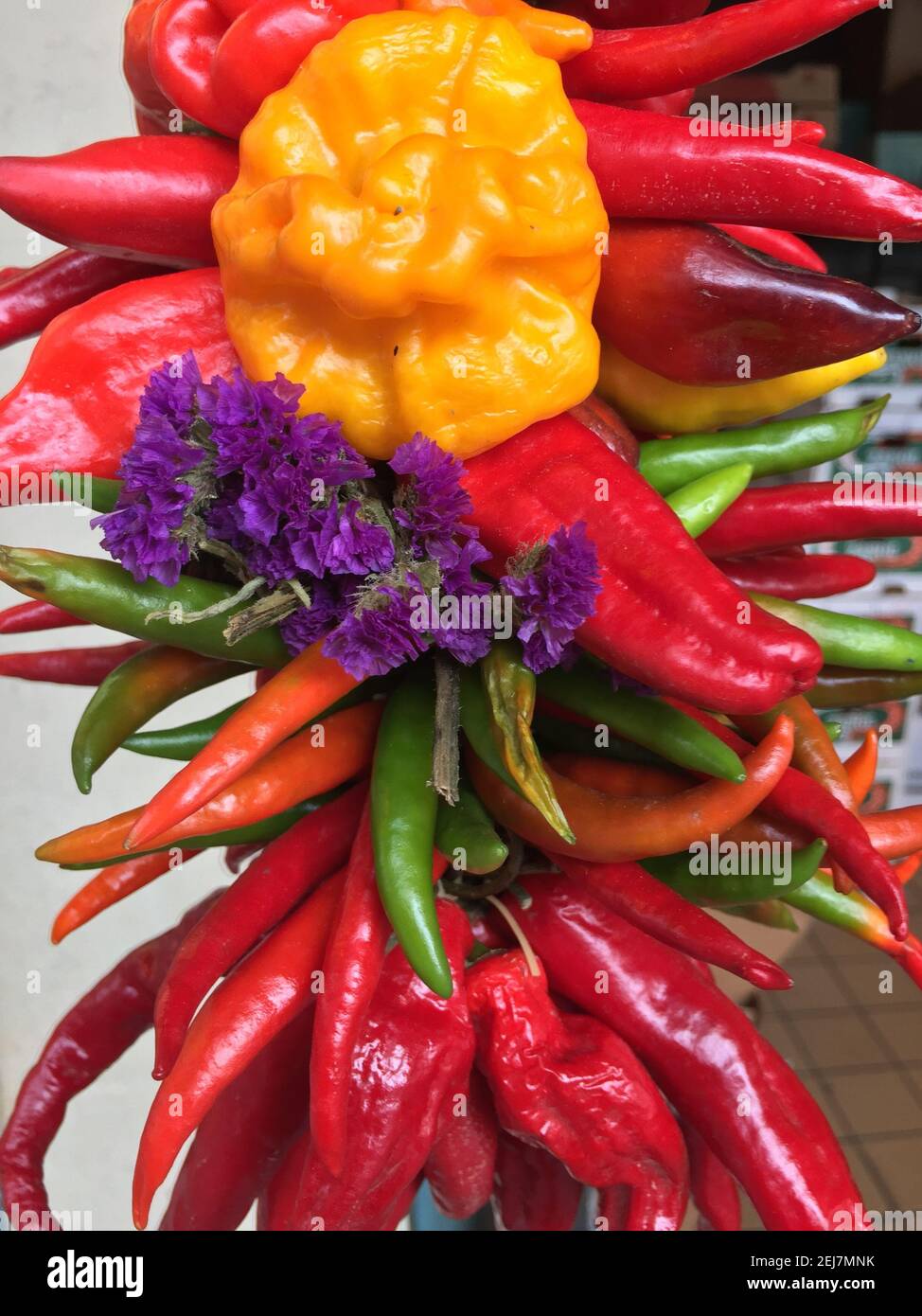 Accented colors hi-res stock photography and images - Alamy