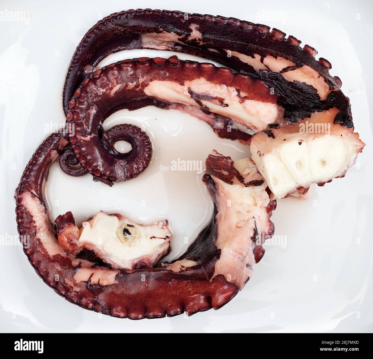 Octopus feeding hi-res stock photography and images - Alamy