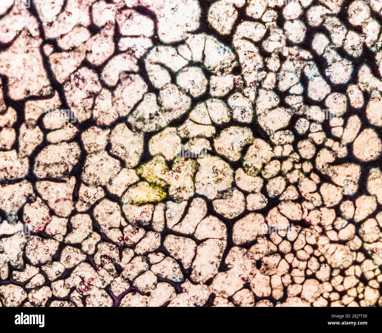 Abstract textured illustration with colorful details Stock Photo - Alamy