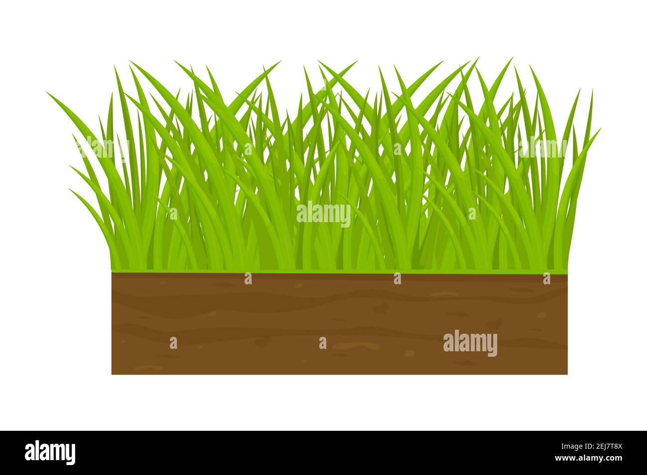 Green grass and ground isolated on white background in cartoon style ...