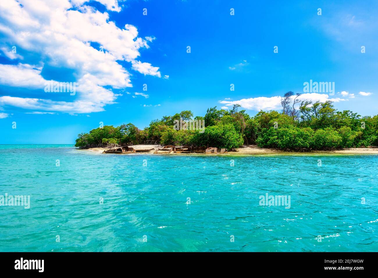 Cuban nature hi-res stock photography and images - Alamy