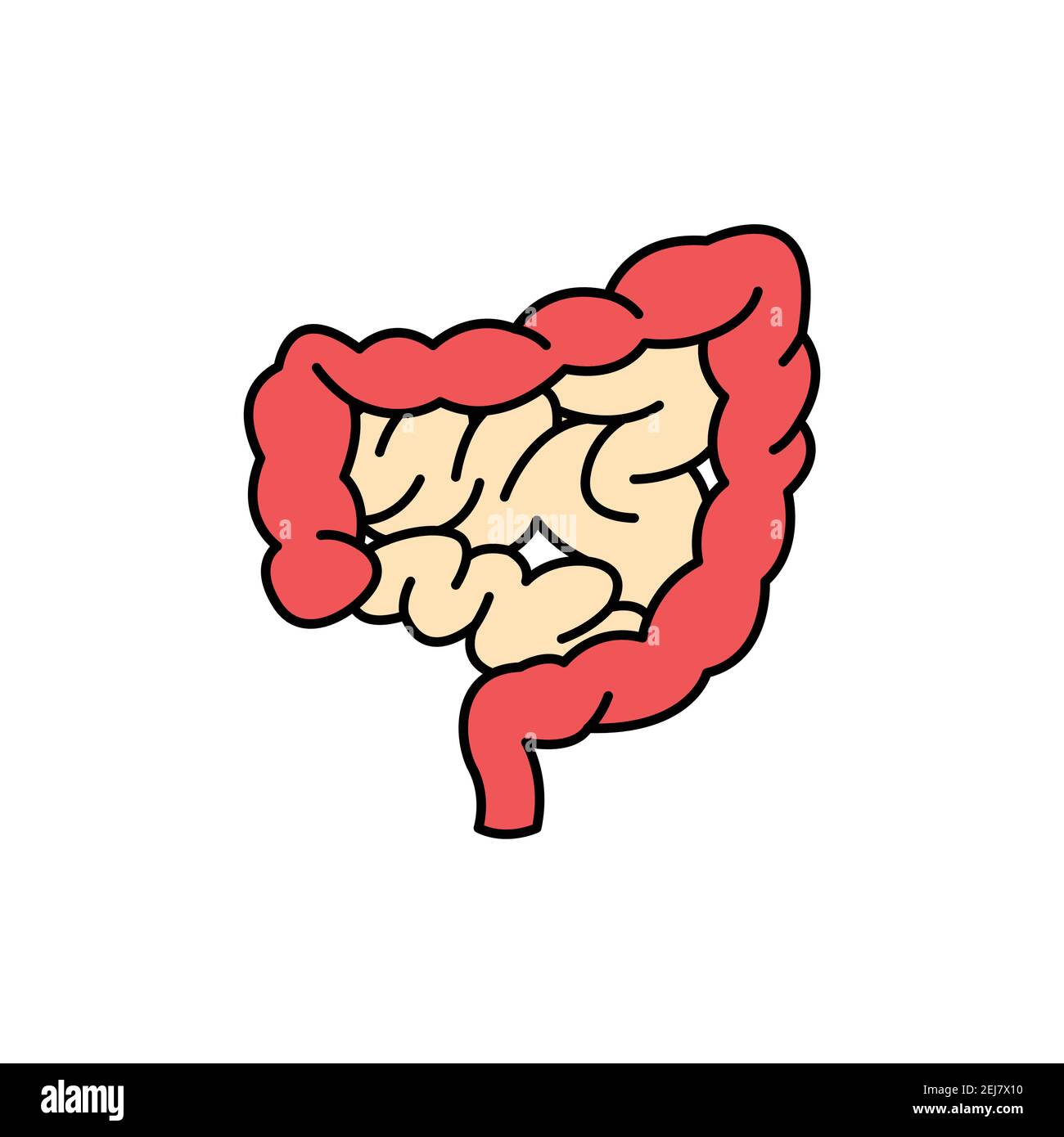 Human organ intestines color line icon. Pictogram for web page, mobile ...