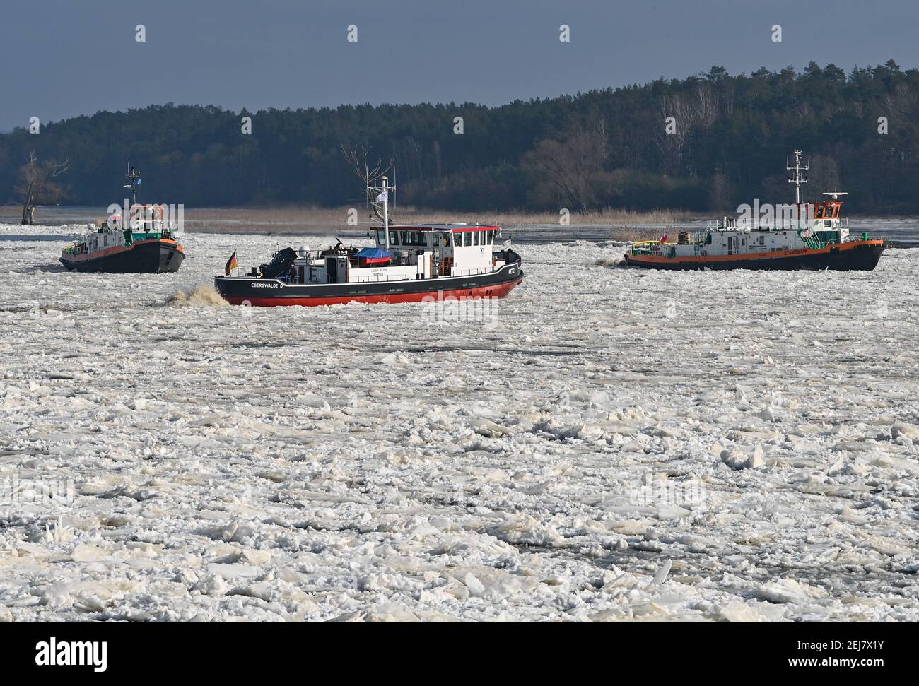 Schwedt, Germany. 18th Feb, 2021. A German (M) and two Polish ...