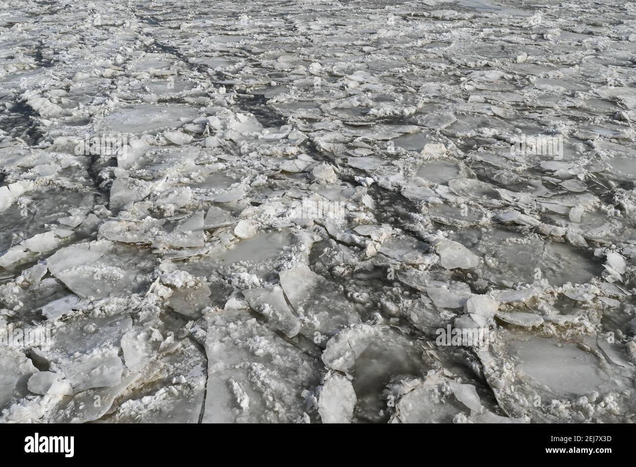 Schwedt, Germany. 18th Feb, 2021. Ice floes on the German-Polish border ...