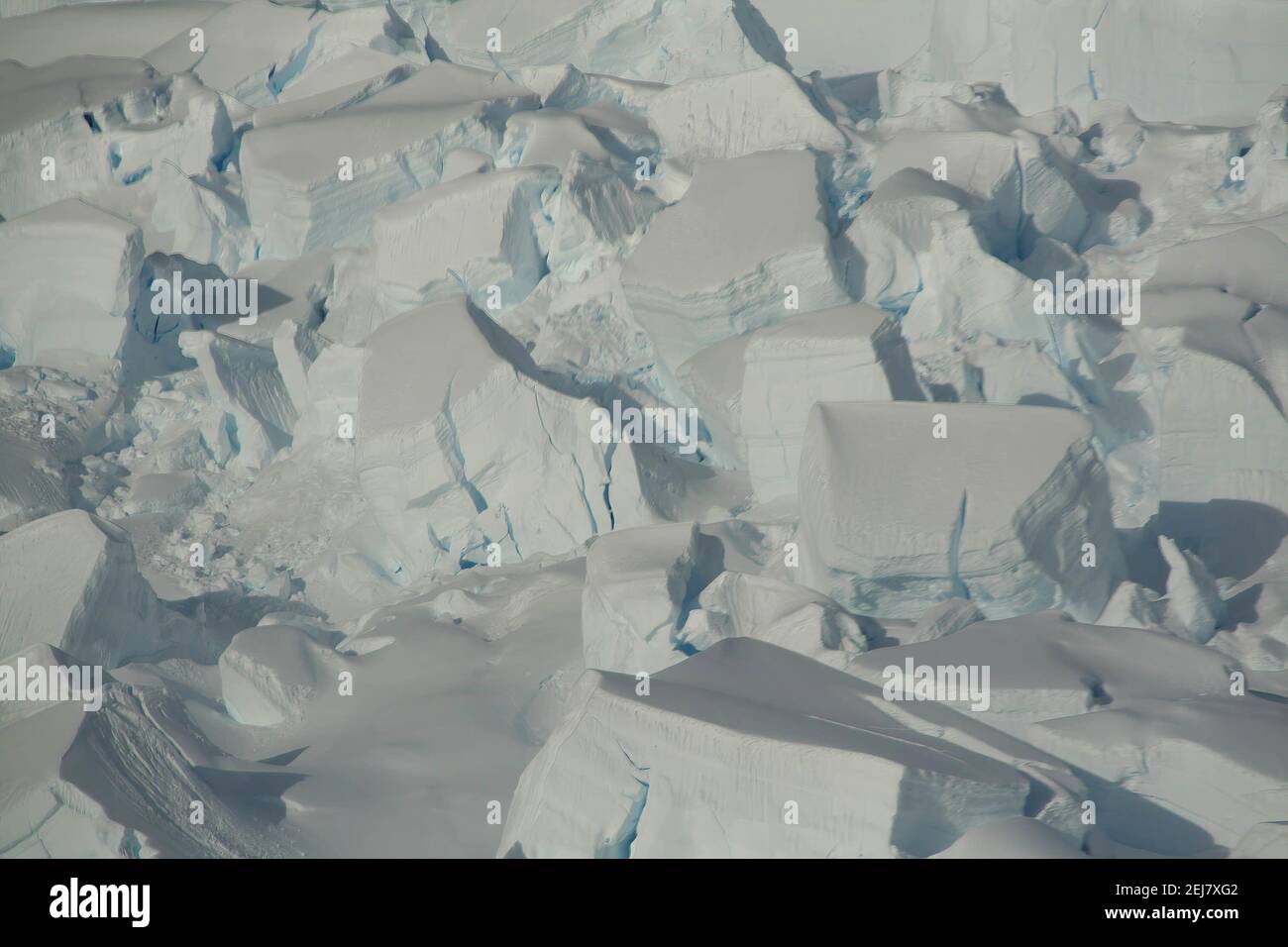 Closeup of Antarctic ice blocks Stock Photo - Alamy