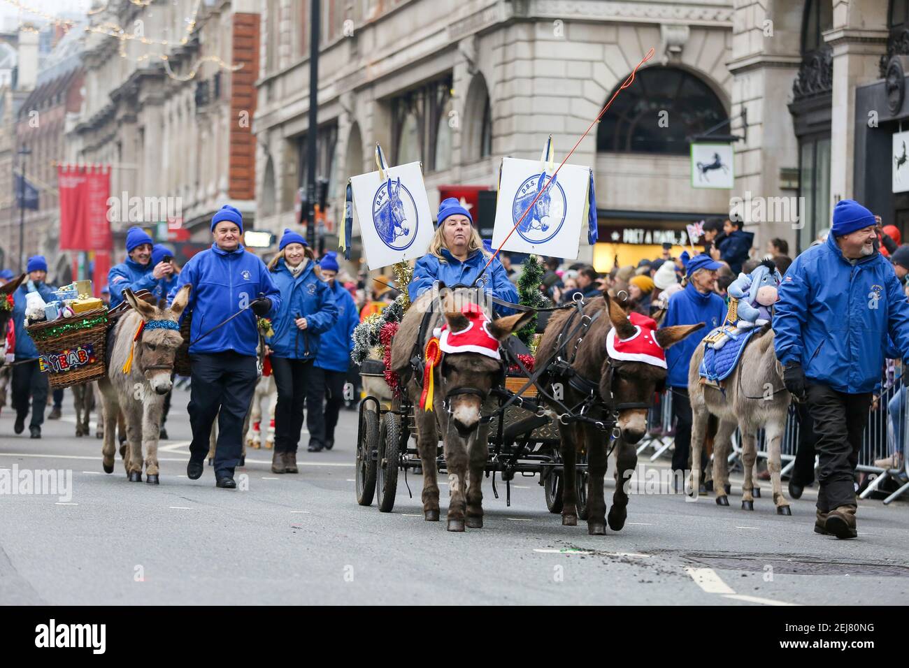 Members of the Donkey Breed Society take part during the annual London ...