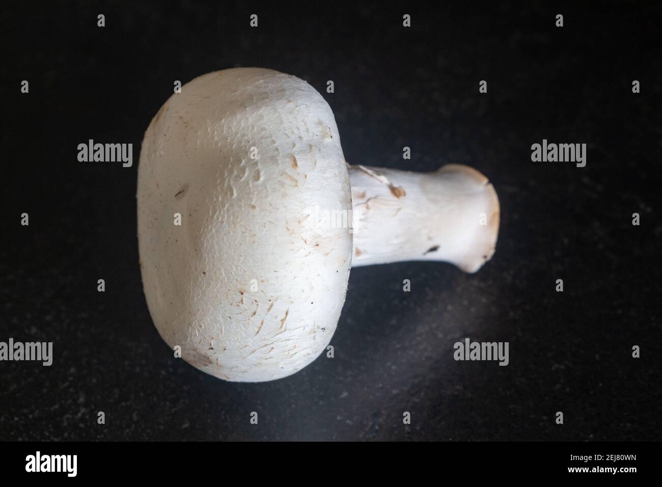 Whole white button mushroom on black background Stock Photo - Alamy