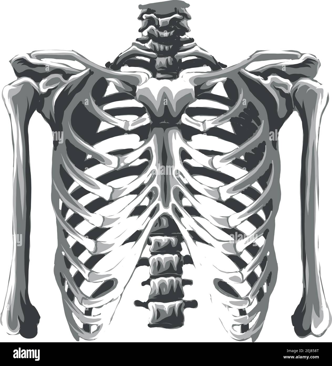 Cartoon funny skeleton with smile head vector Stock Vector Image & Art ...