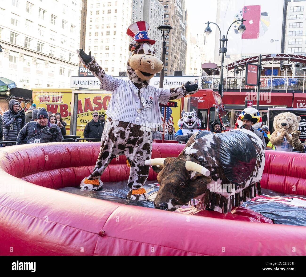 Staten Island Yankees mascot Scooter the Holy Cow rides mechanical bull ...