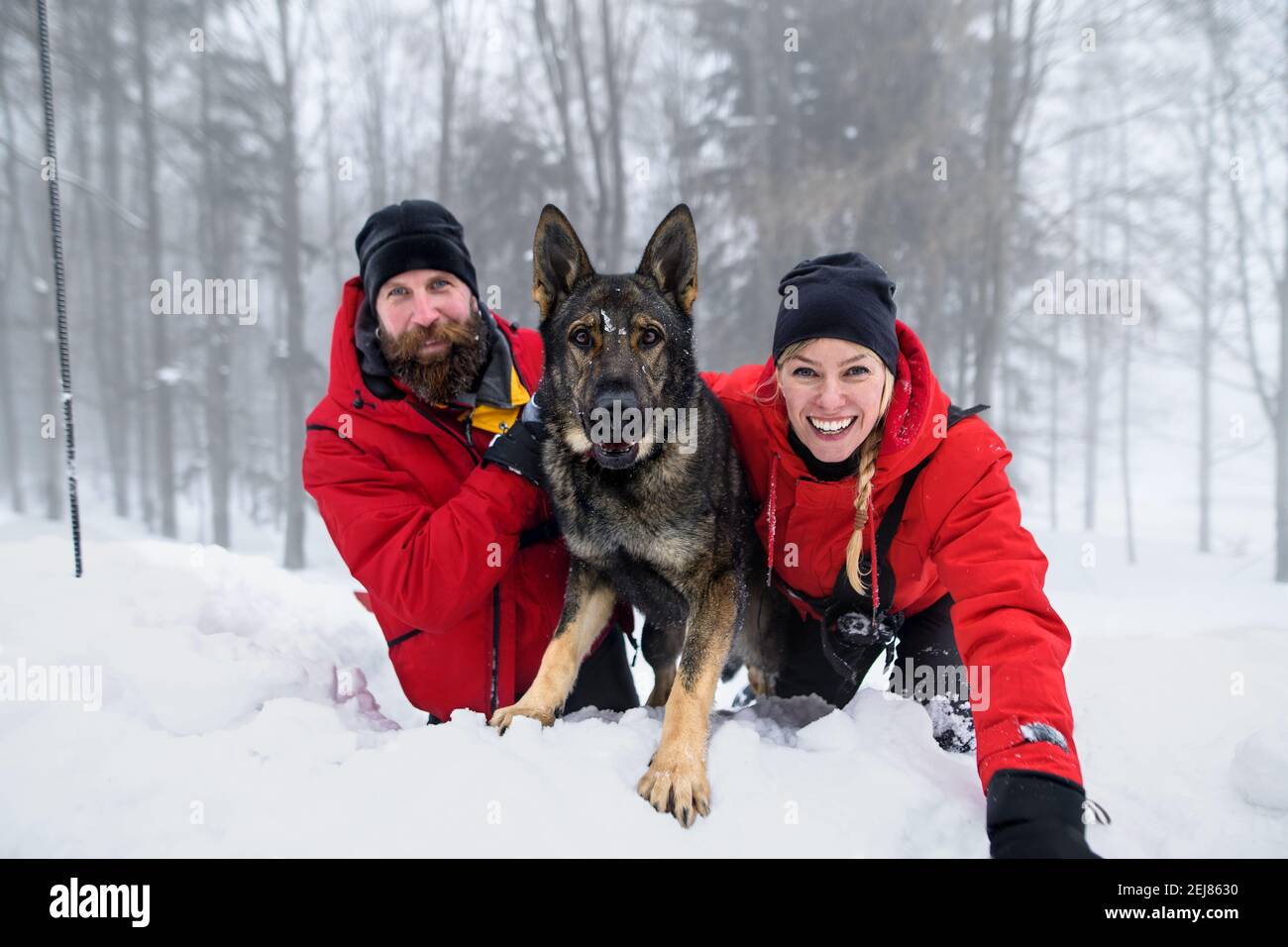 Mountain rescue service with dog on operation outdoors in winter in ...