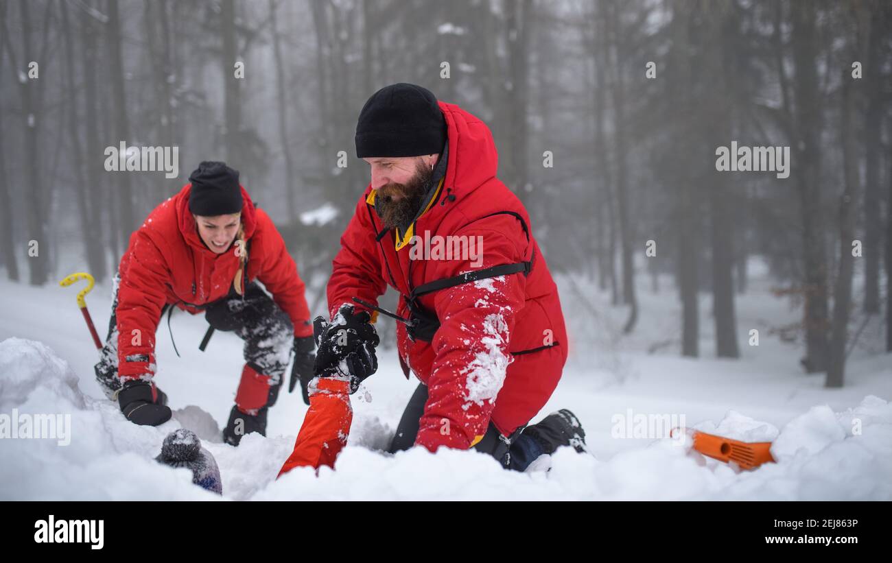 Mountain rescue service on successful operation outdoors in winter in ...