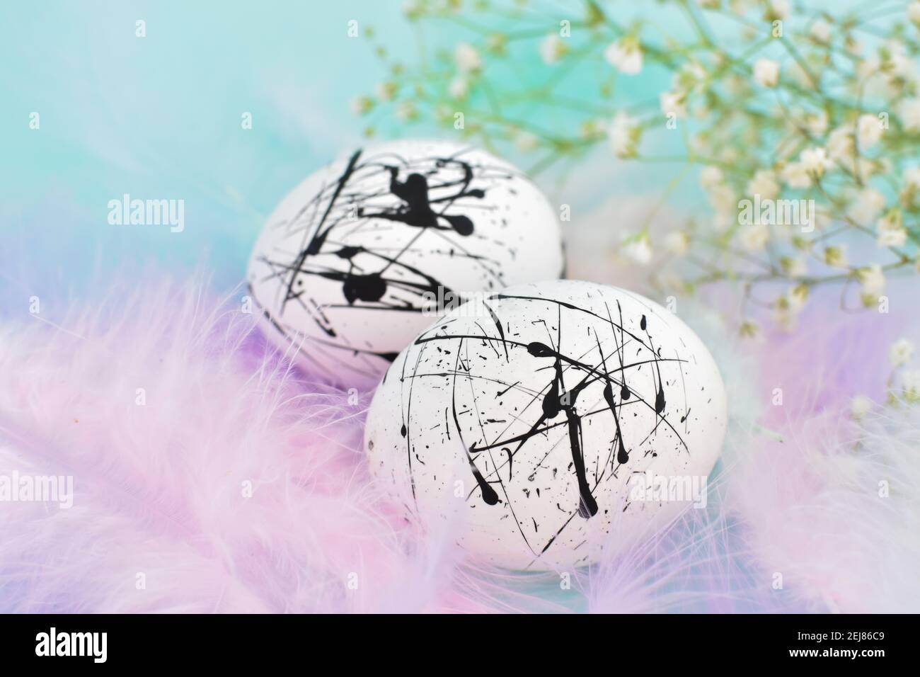 The two eggs are white with black spots on a light blue background with ...