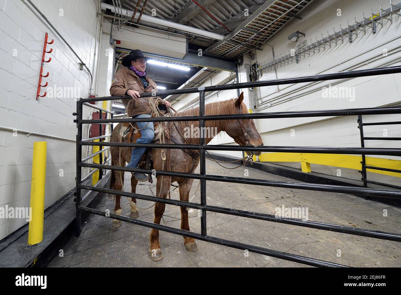 PBR Safety Man Jared Groene atop his horse Clifford waits for bull to ...