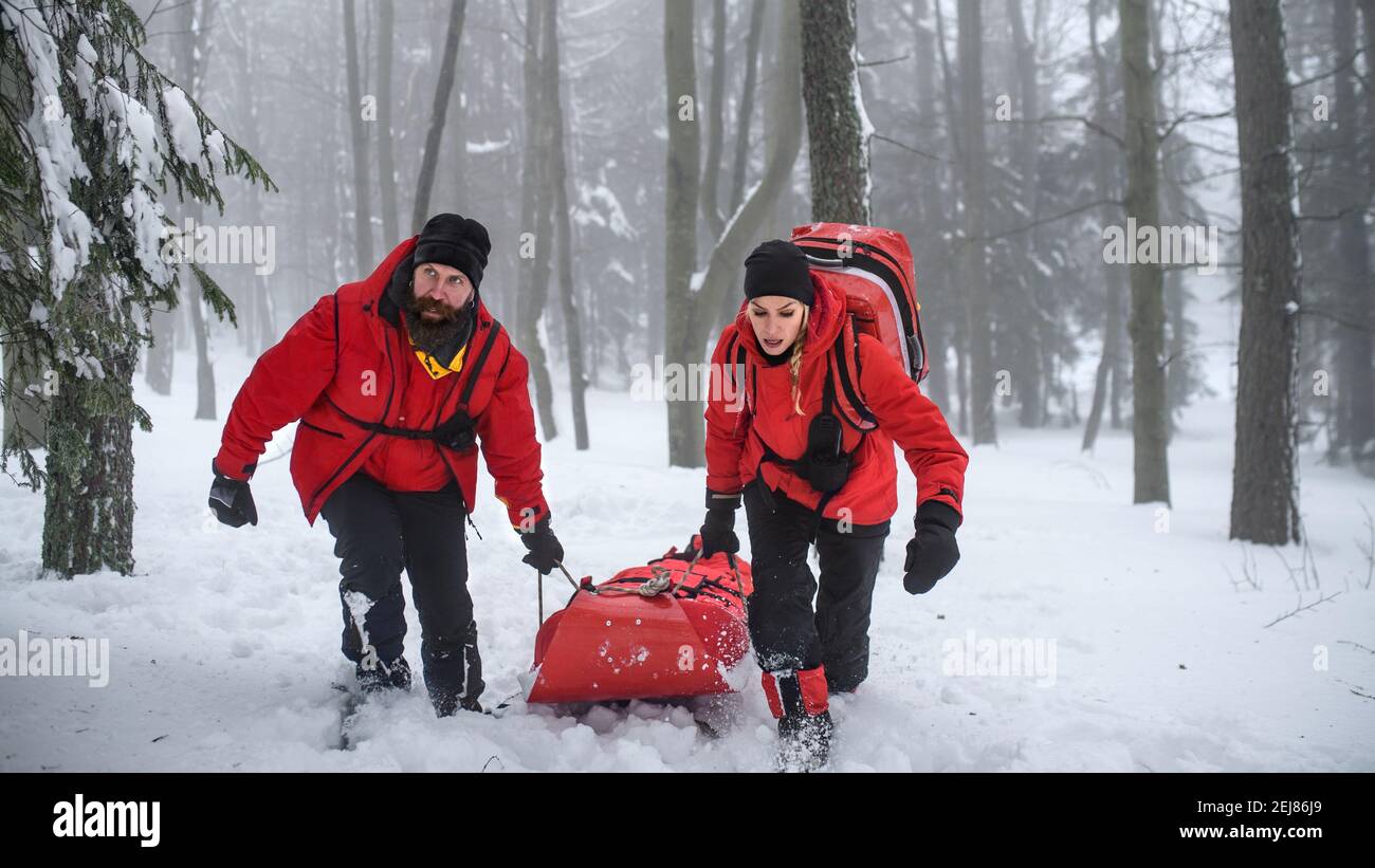 Mountain rescue service provide operation outdoors in winter in forest ...