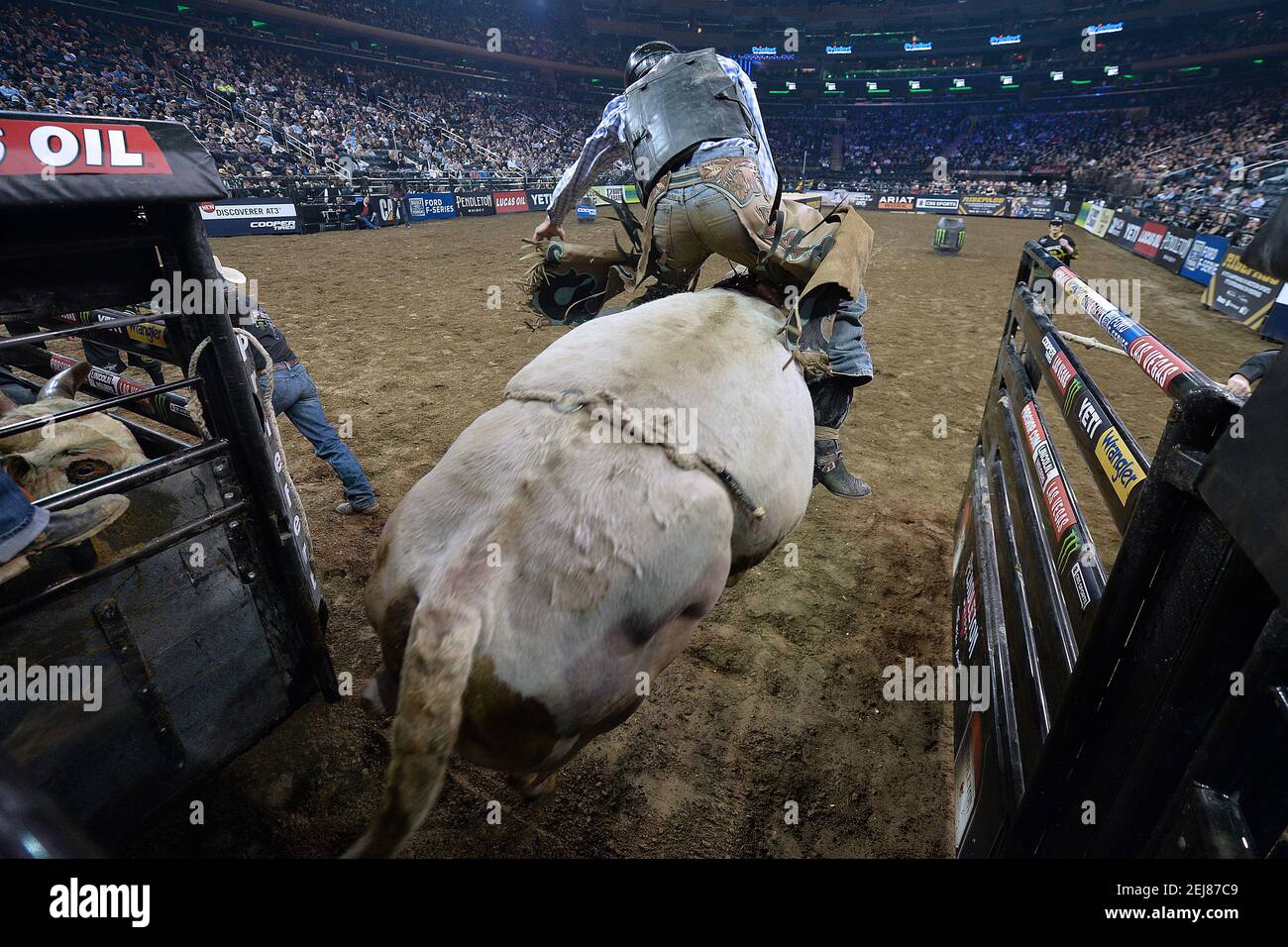 Professional bull rider Brady Fielder rides ”Chuck & Larry” during ...