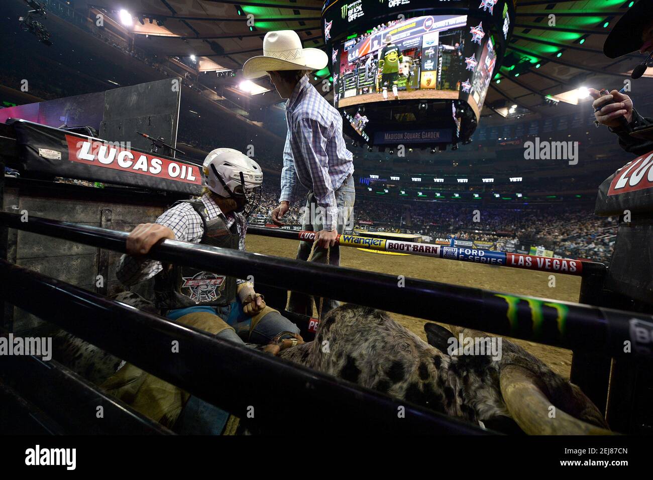 Professional bull rider Jared Parsonage sits atop ”No Excuses” in the ...