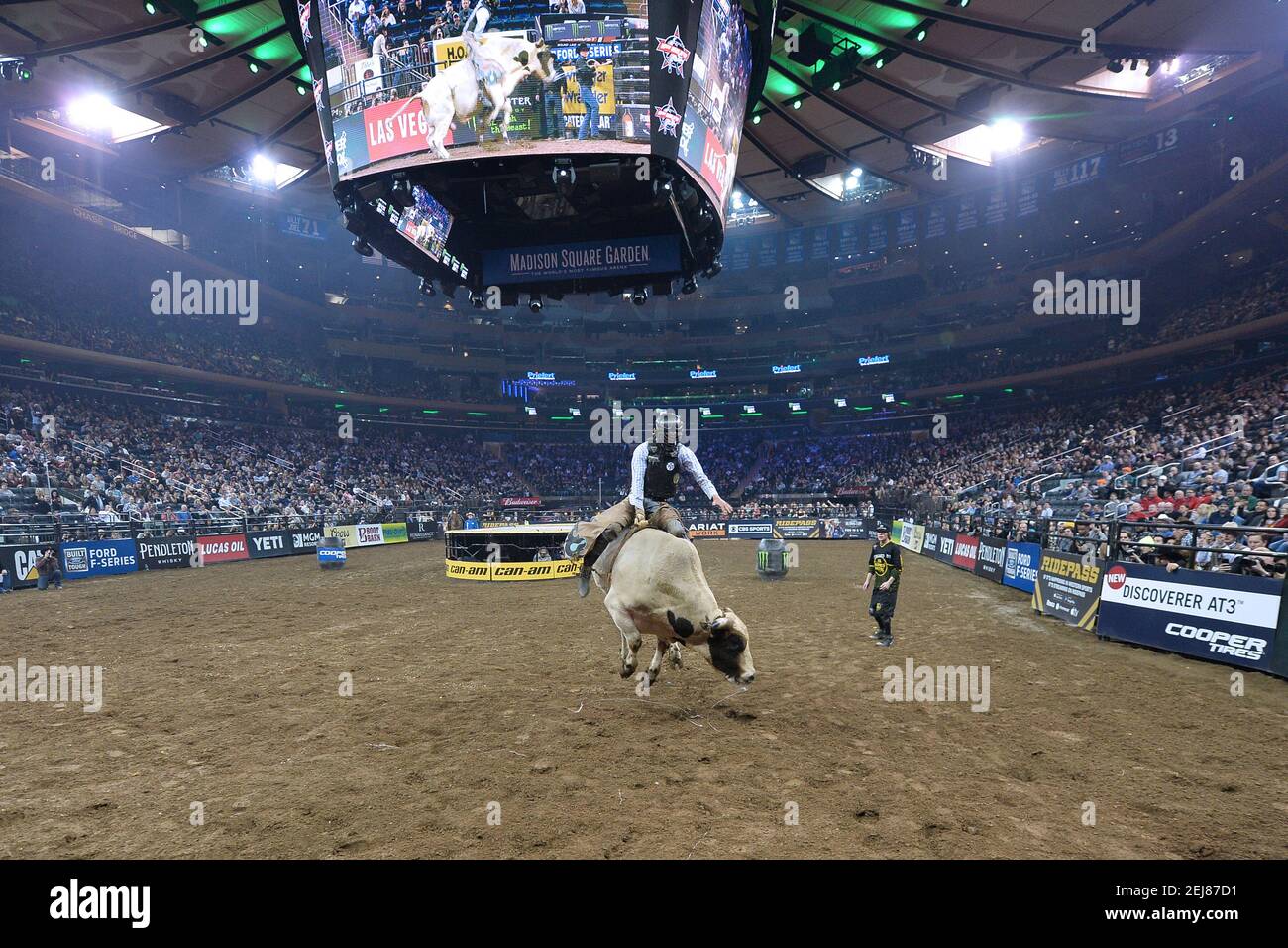 Professional bull rider Brady Fielder rides ”Chuck & Larry” during ...