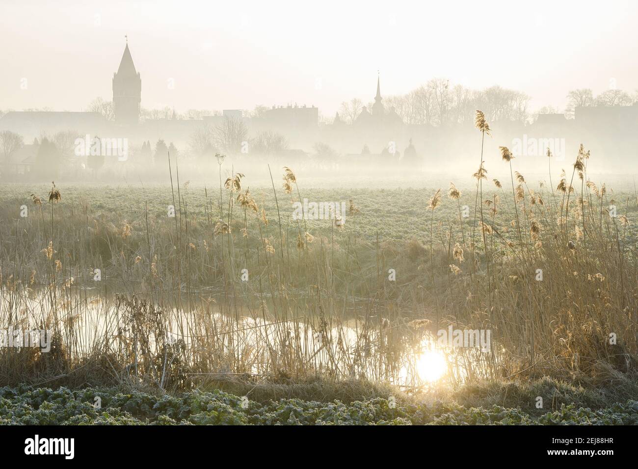 Morning view of a foggy landscape in Malbork castle, Nogat river in ...