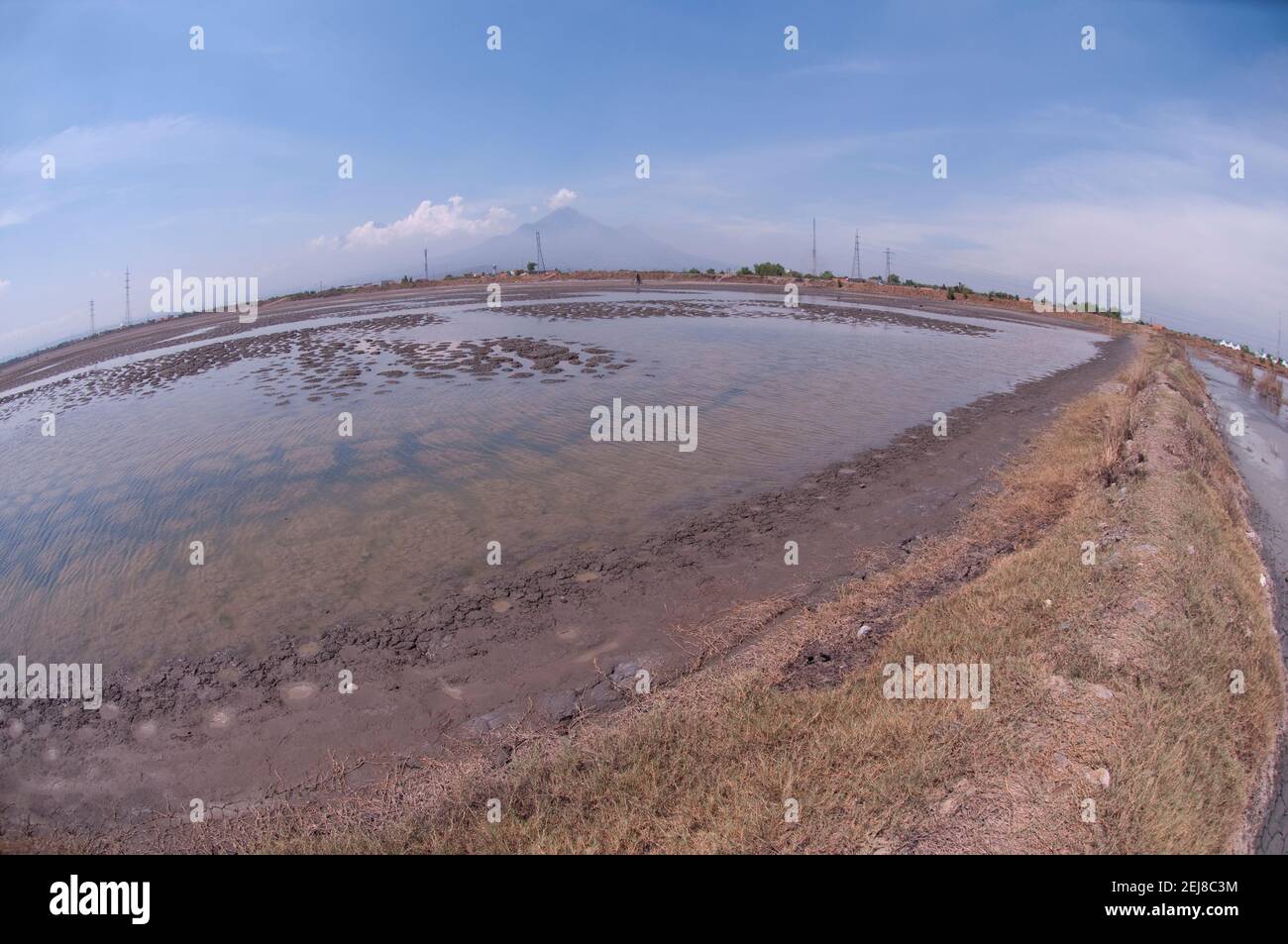 Dried mud in mud lake environmental disaster and which developed after ...