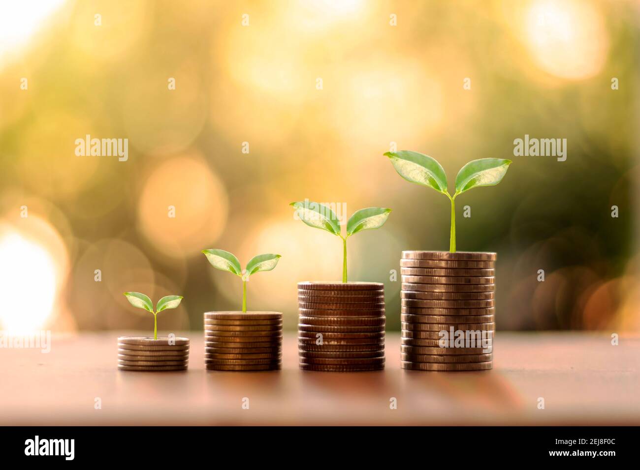 Cash green leaves hi-res stock photography and images - Alamy