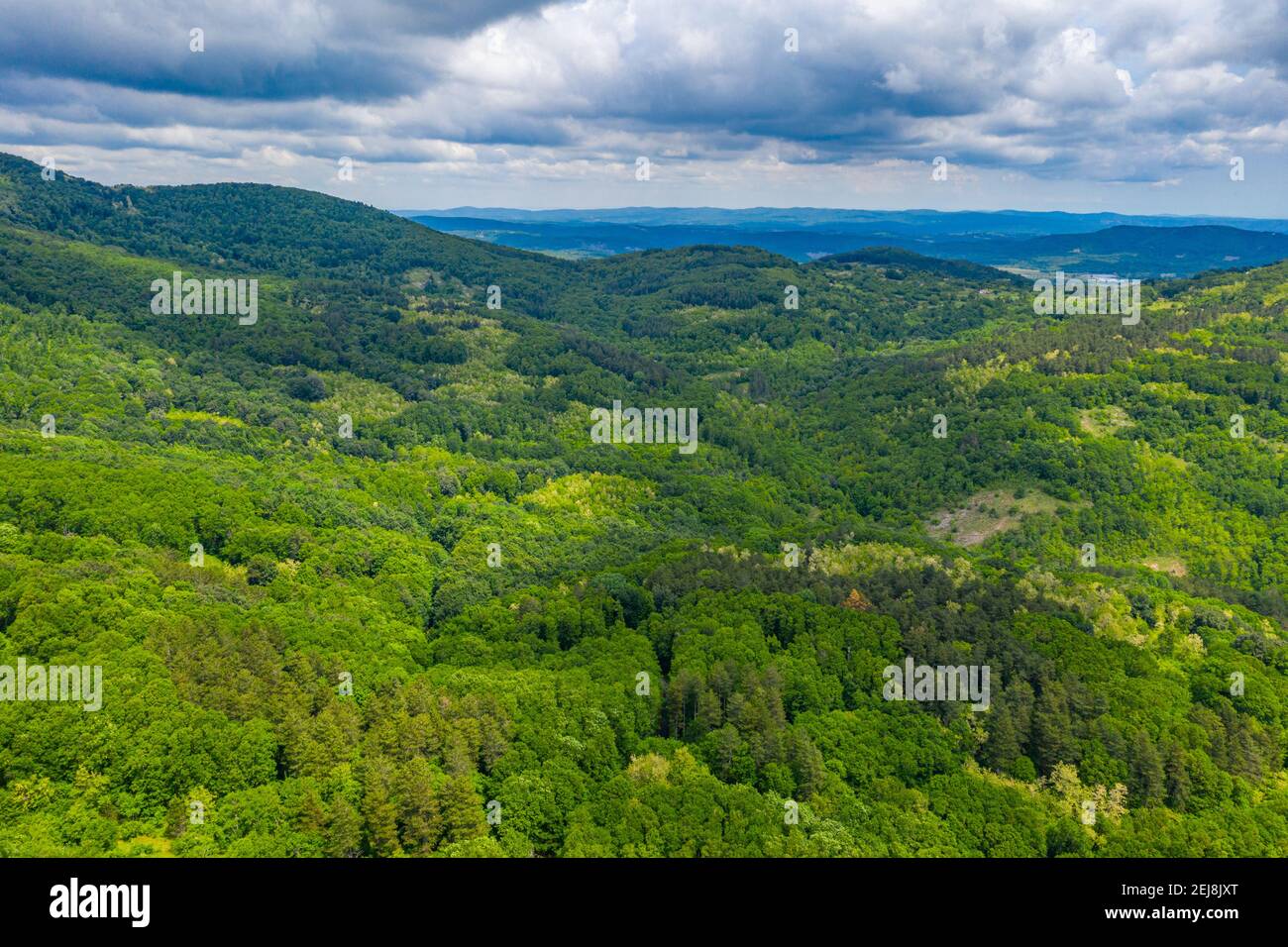 Aerial view of Strandzha mountains in Bulgaria Stock Photo - Alamy