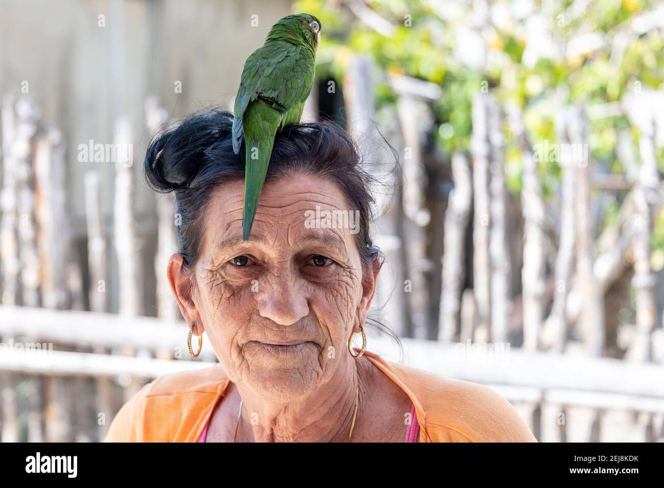 Cuban people lifestyle and culture Stock Photo - Alamy