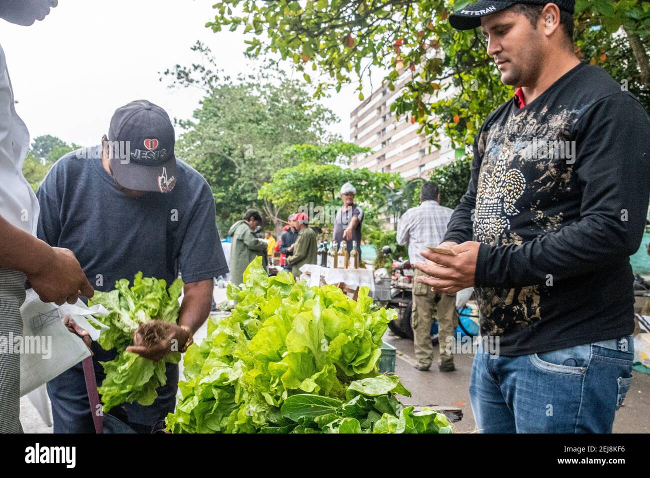 Cuban people lifestyle and culture Stock Photo - Alamy