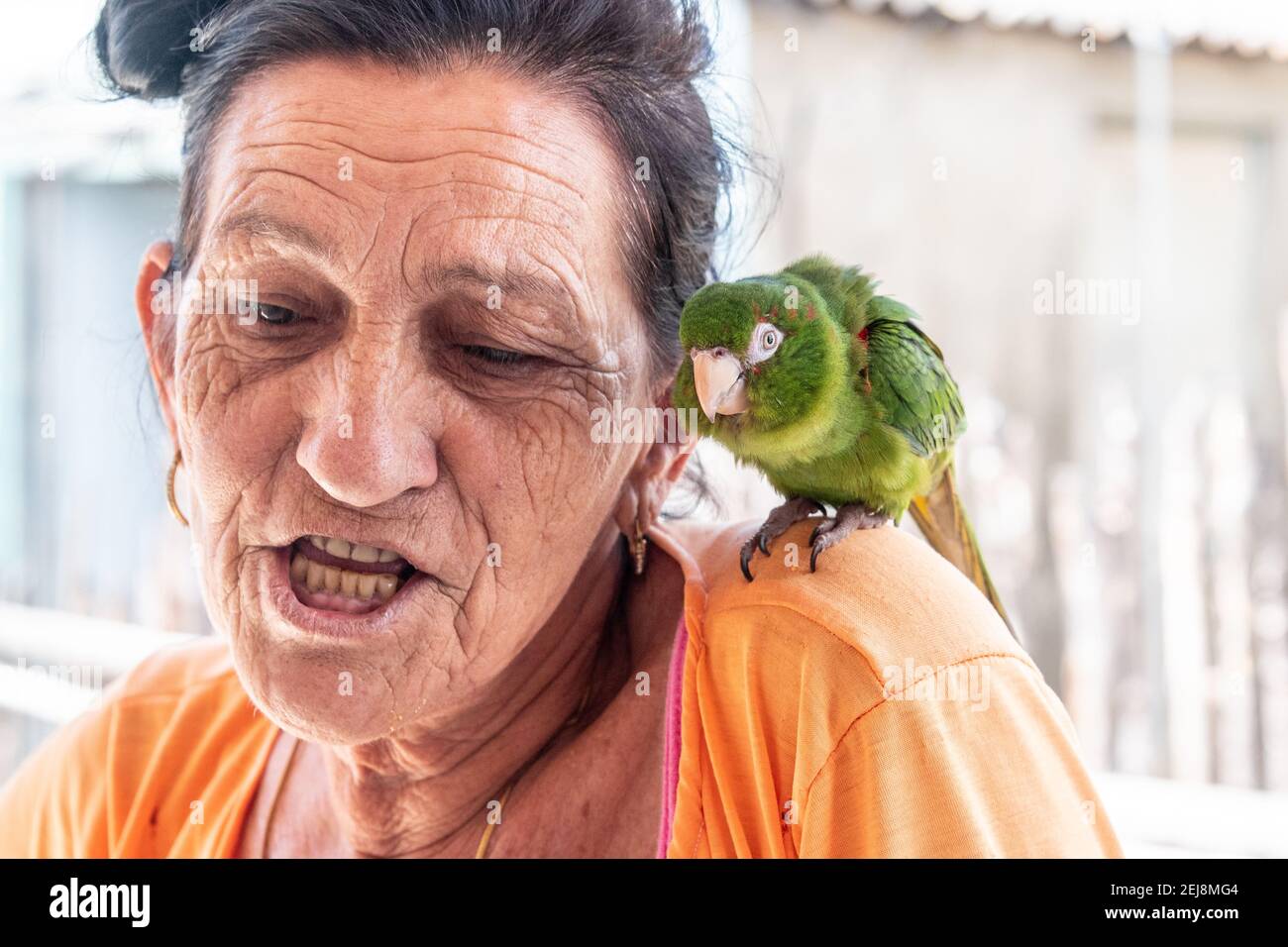 Cuban people lifestyle and culture Stock Photo - Alamy