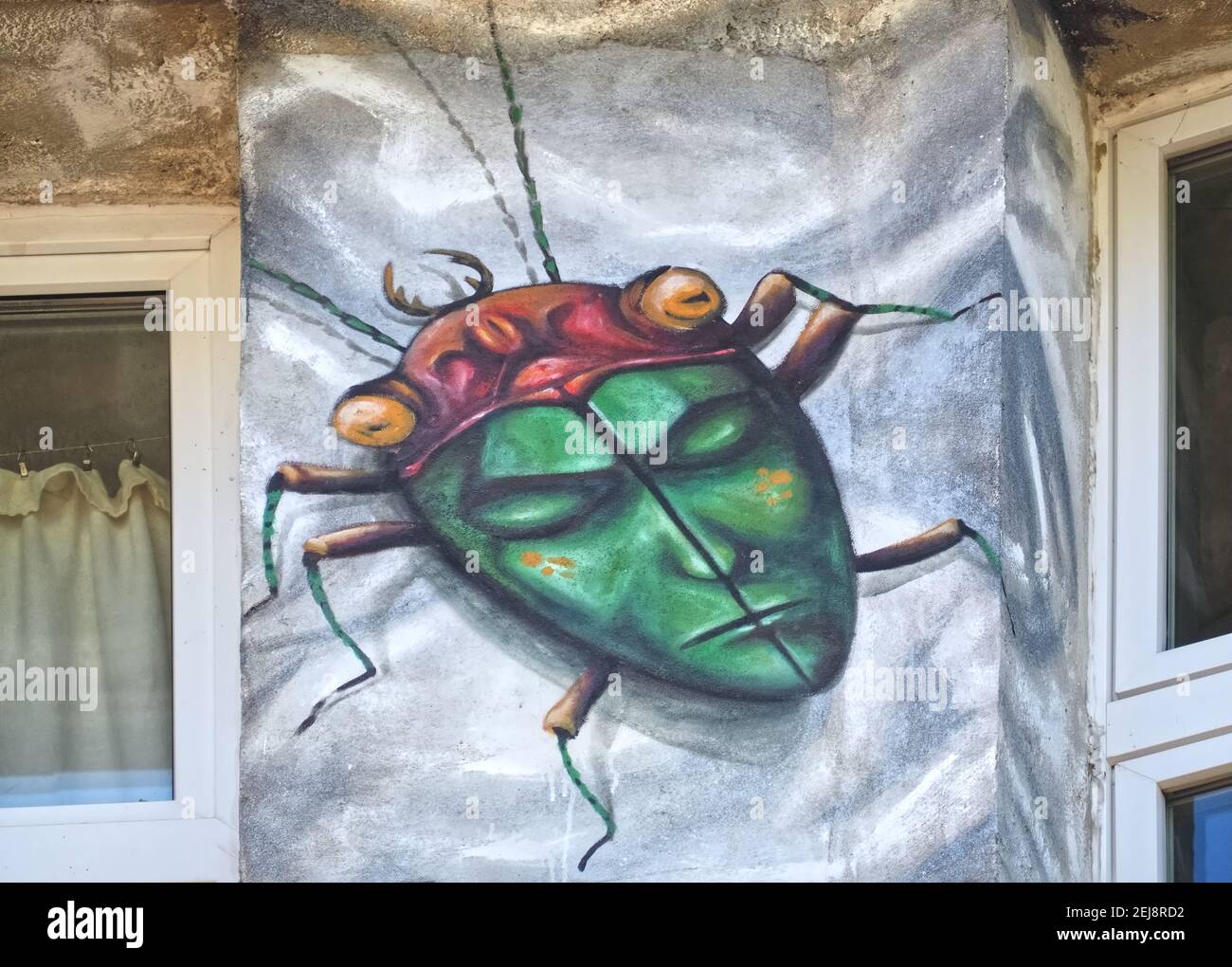 Street art in Duesseldorf - Graffiti of an insecct, beetle with a face ...