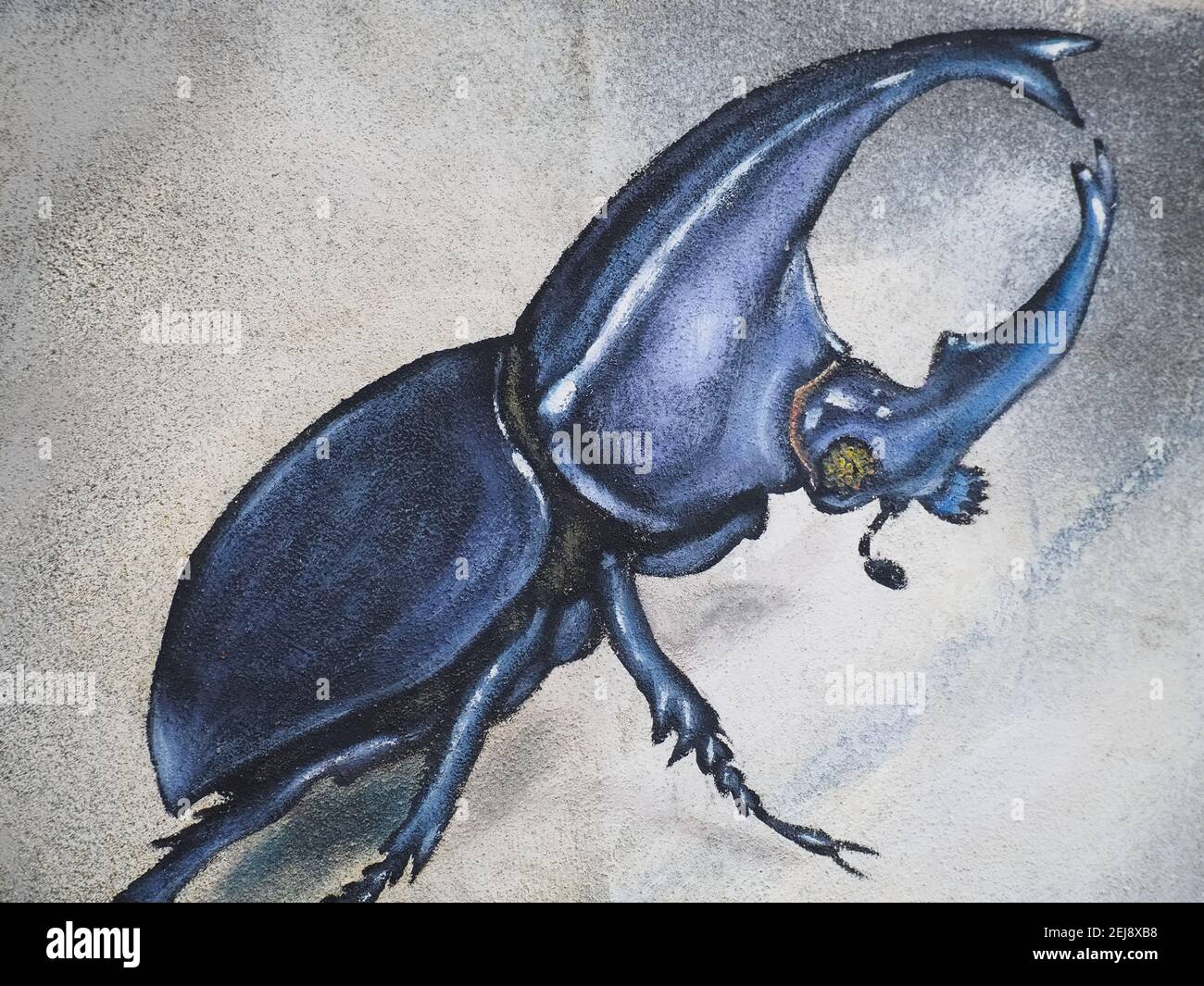 Street art in Duesseldorf - Graffiti of an insecct, beetle stag Stock ...
