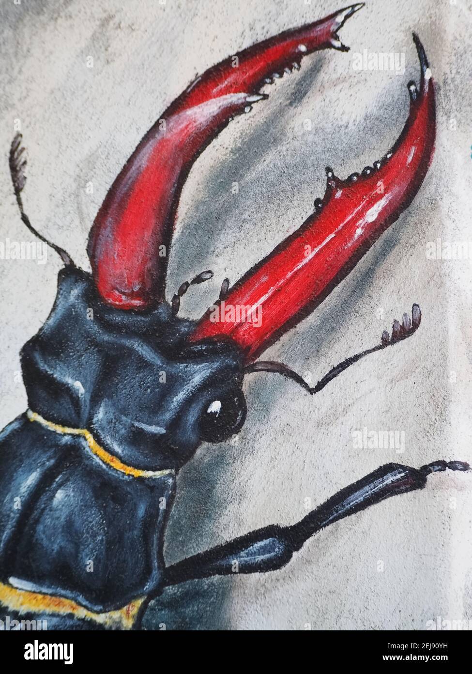 Street art in Duesseldorf - Graffiti of an insecct, beetle stag Stock ...