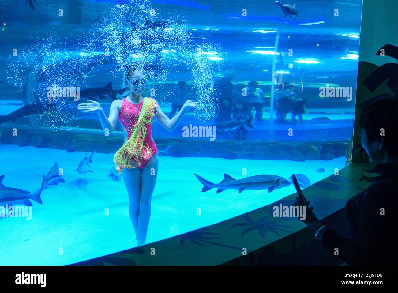 Yunnan,CHINA-On January 6, 2020, China's first freshwater fish aquarium ...