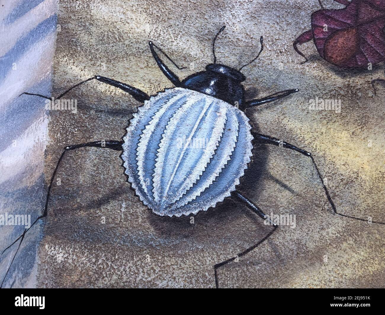 Street art in Duesseldorf - Graffiti of an insecct, beetle Stock Photo ...