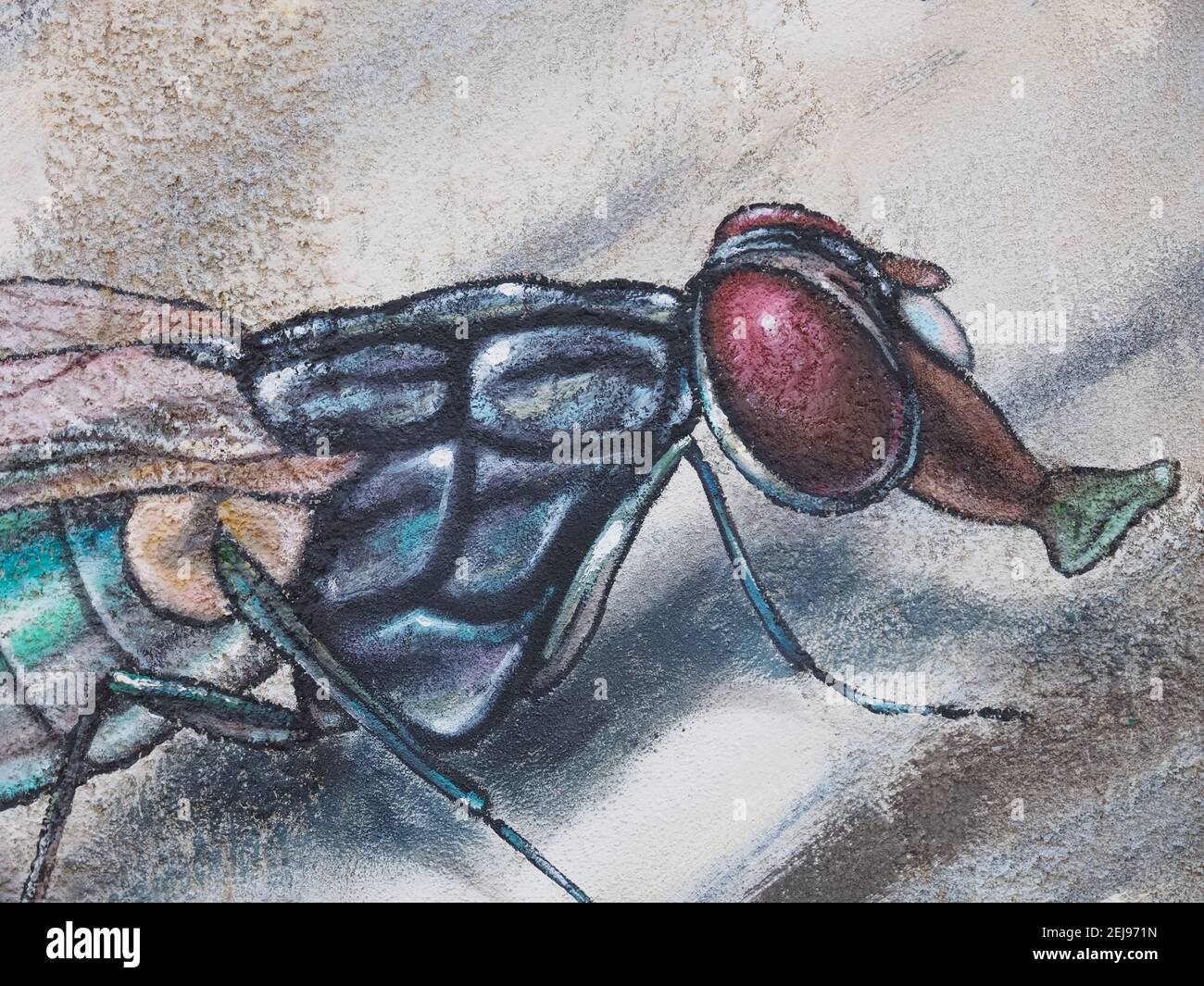 Street art in Duesseldorf - Graffiti of an insecct, fly Stock Photo - Alamy
