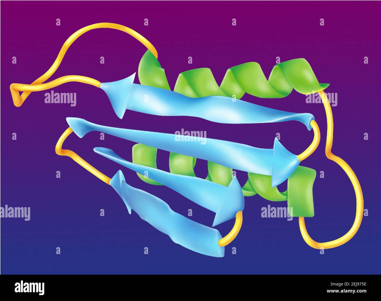 Prion disease hi-res stock photography and images - Alamy