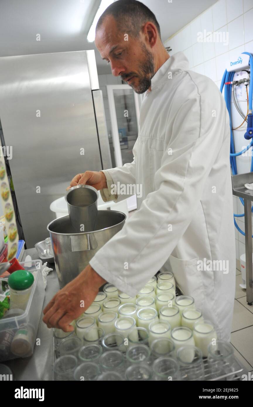 Goat breeding and production of organic product from goat milk Stock ...